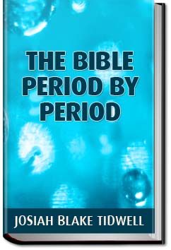 The Bible Period By Period | Josiah Blake Tidwell | All You Can Books ...